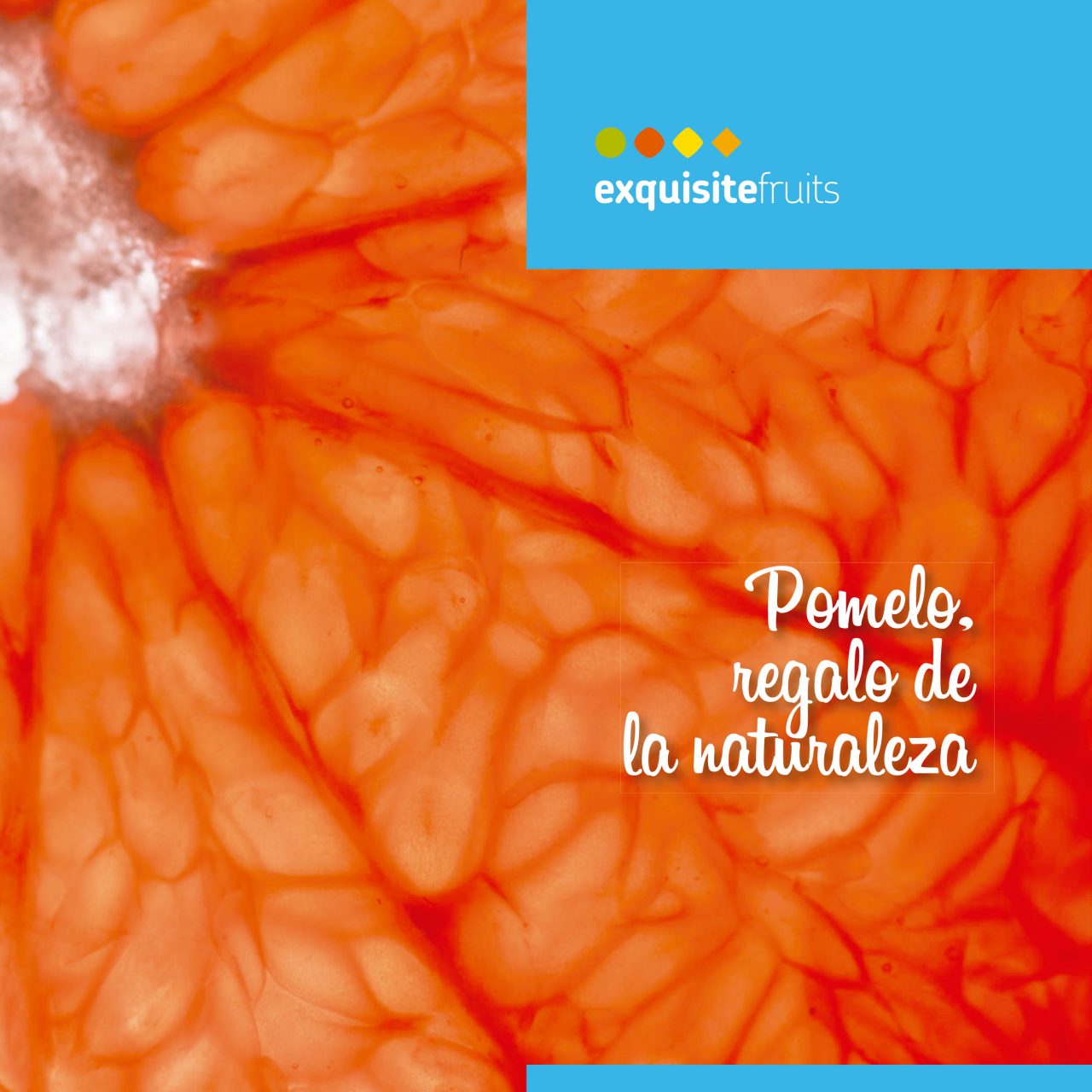 Exportación de fruta y verdura
